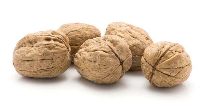 Fresh walnuts isolated stock photo. Image of group, halves - 106811618