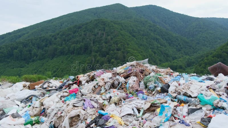 An Unsorted Garbage Dump in the Middle of a Green Forest in the ...