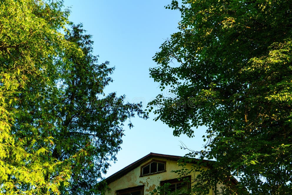 Unspecified Building Generic Architecture Exterior Details Stock Image ...