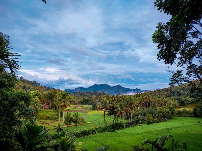 Unspoiled Green Nature with Such Beautiful Scenery Stock Image - Image ...