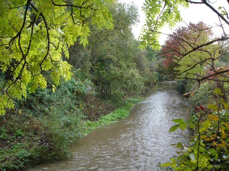 Unspoiled Natural Urban Stream Stock Photo - Image of nature, urban ...