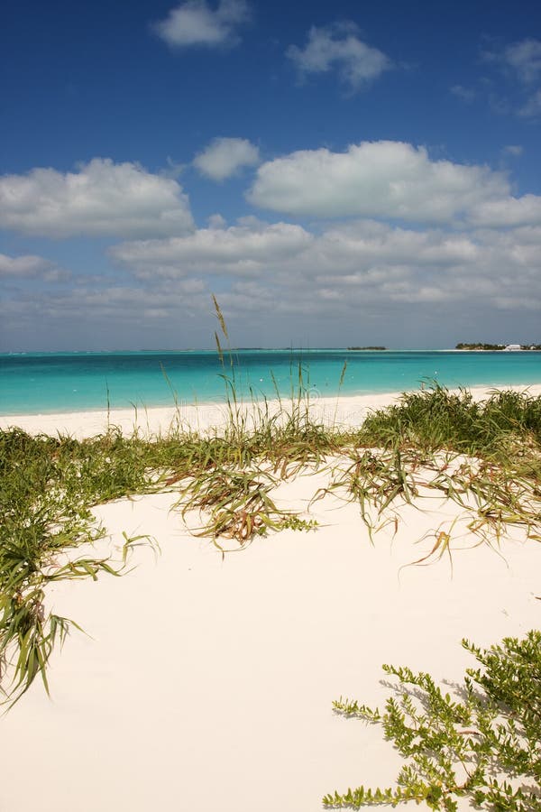 Unspoilt beach stock photo. Image of tropical, coast, summer - 4632992
