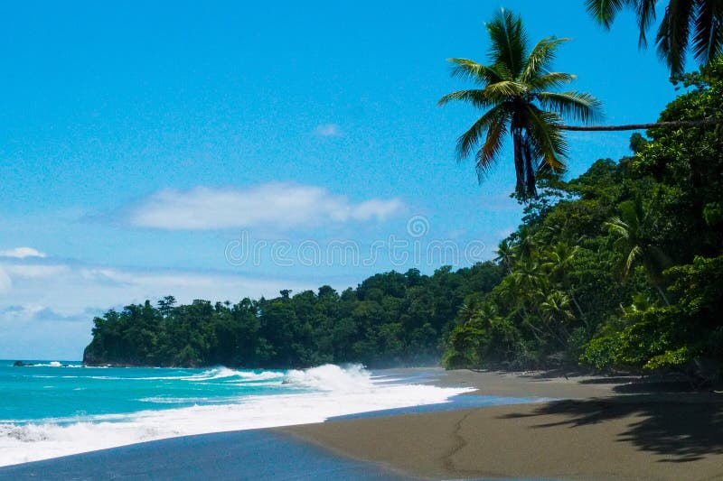 Unspoilt Beach in Costa Rica Stock Photo - Image of resort, cape: 221239056