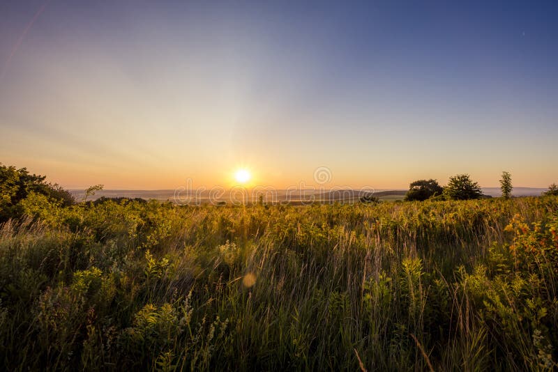 Unspoilt Nature in the Morning Sunlight at Sunrise. Stock Photo - Image ...