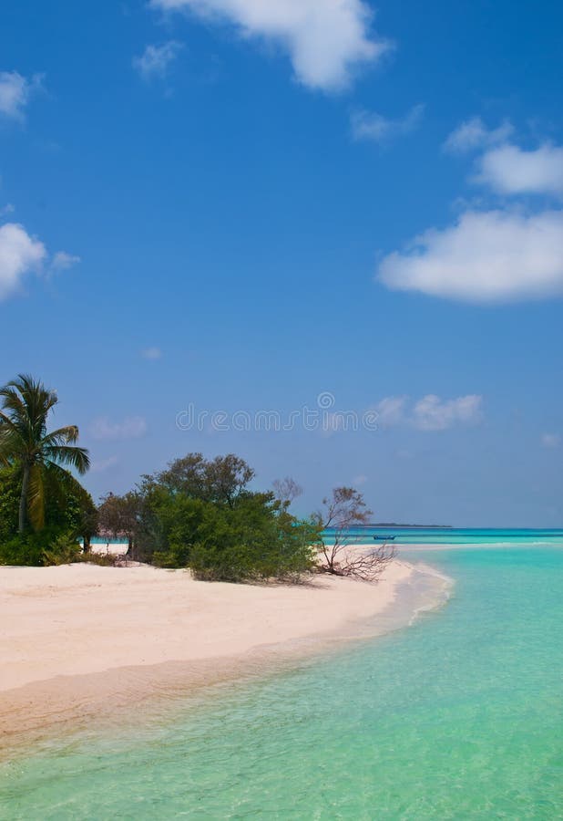 Tropical unspoilt beach stock image. Image of holiday - 11768951