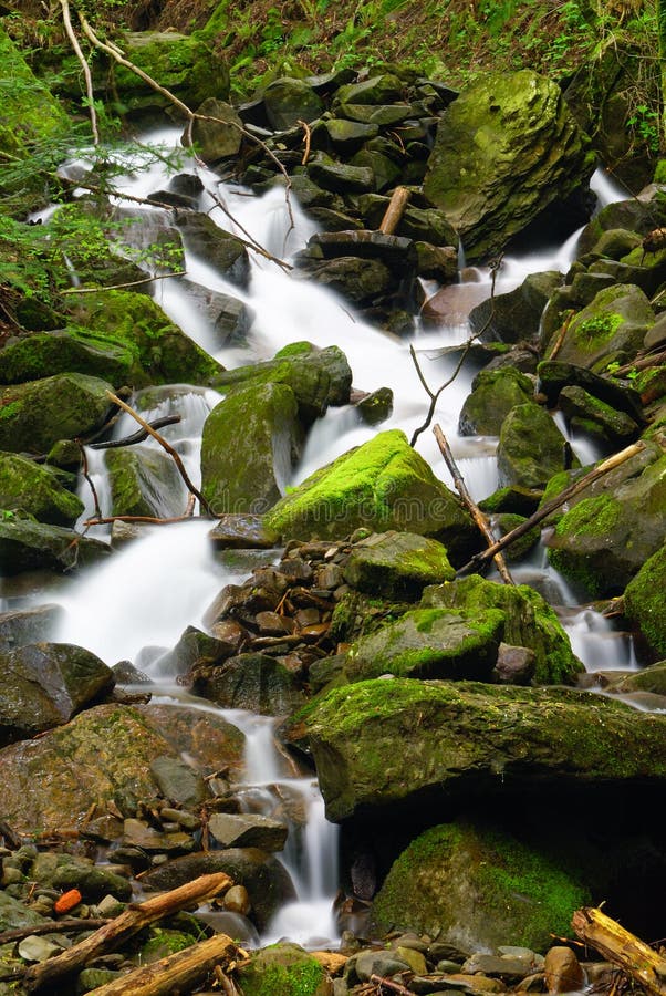 Unspoilt water stock photo. Image of moss, river, spring - 15623178