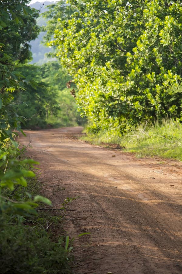 Untarred Rural Roads Stock Photos - Free & Royalty-Free Stock Photos ...