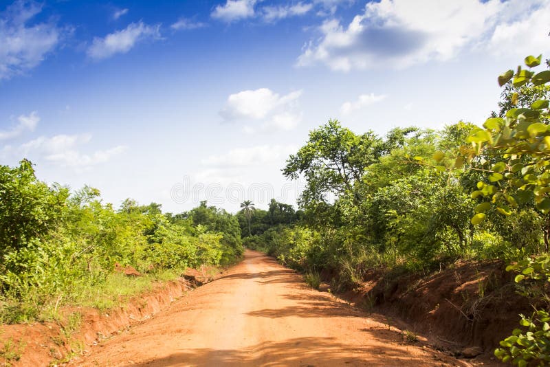 An untarred rural road stock photo. Image of cute, wild - 92664720