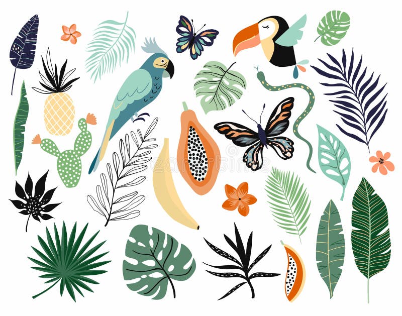 Tropical Abstract Elements Collection, Hand Drawn Items Stock Vector ...