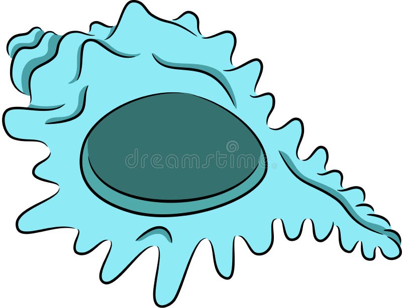 Seashell stock vector. Illustration of isolated, black - 32972508