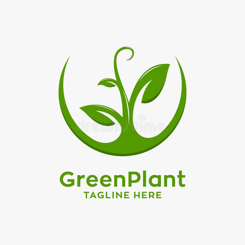 Green plant logo design stock vector. Illustration of farm - 238082969