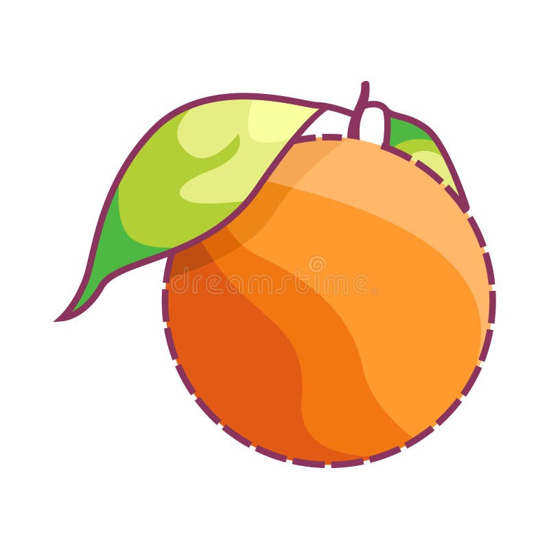 Illustration of Orange Fruit Design, with Vitamin C. Vector Illustrator ...