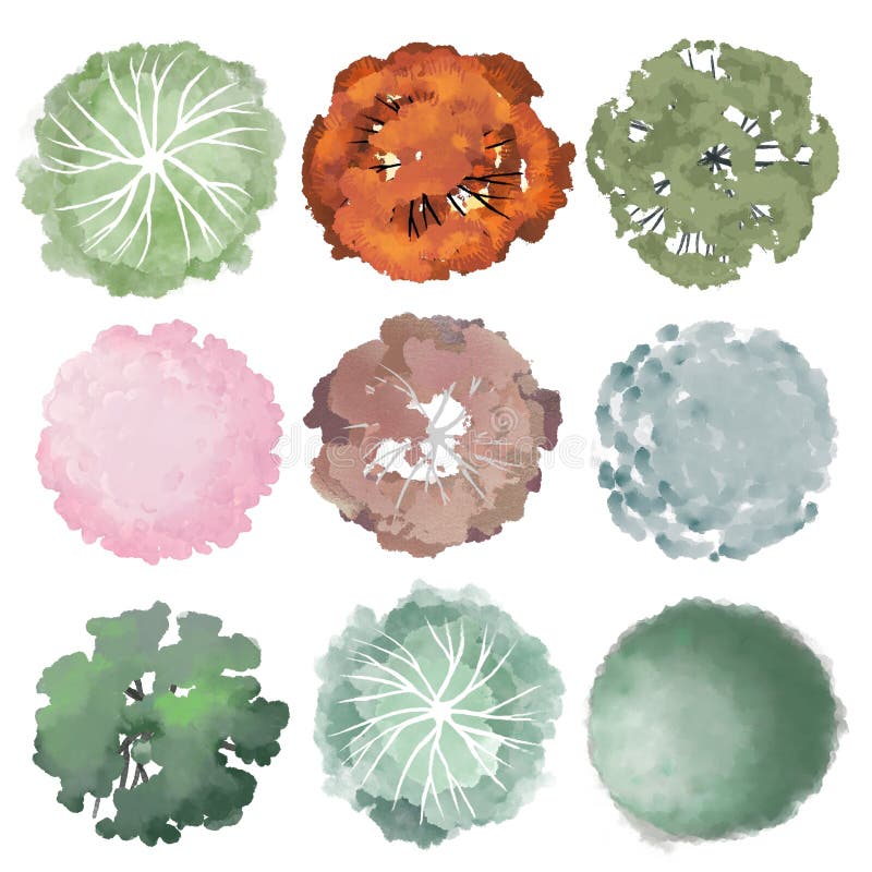 Set of Architectural Plans Trees Isolated on White Background. Bushes ...