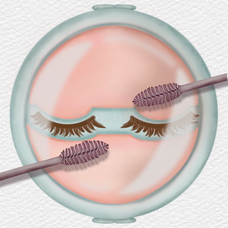 Hand-drawn False Eyelashes in a Package,mascara Brush Beauty Cosmetic ...