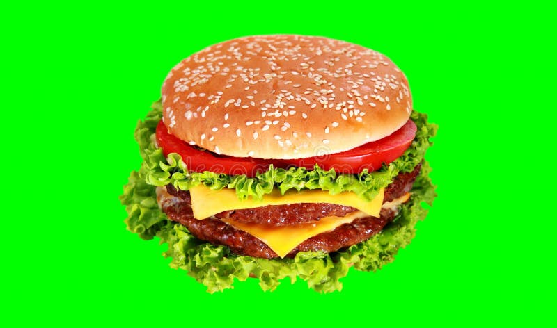 Hamburger with Cheese and Chicken Green Screen Chroma Key Stock Image ...