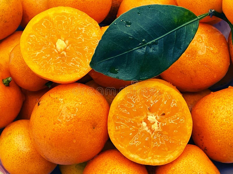 Very Ripe Calamondin Fruit or Citrus Fruit Stock Image - Image of wall ...