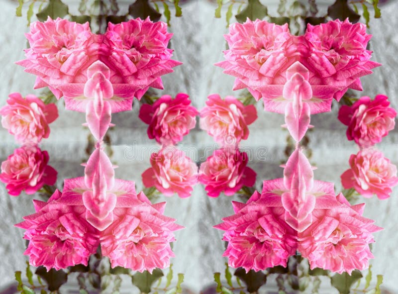 Collage Roses for Background Design Stock Illustration - Illustration ...