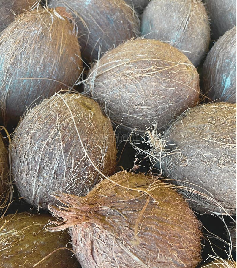 A Table Full of Coconut. a Matured Coconut without the Husk Stock Image ...