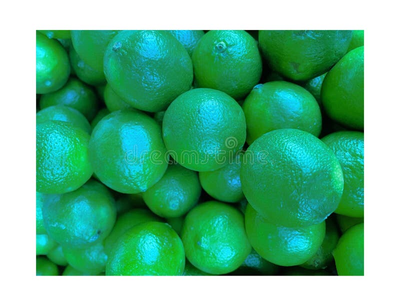 Fruit Lime Citrus Family for Food and Drinks Ingredients Stock Photo ...
