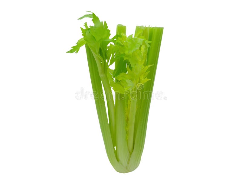 Celery Fresh Vegetable Stalk Leaves Food Ingredients Stock Image ...