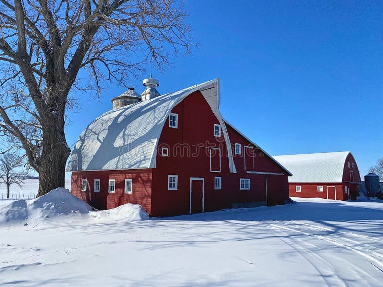 An Adorable Farm and Its Barns Still Operating in the Snow Stock Image ...