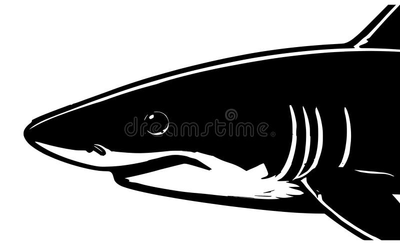 Shark Side View Stock Illustrations – 661 Shark Side View Stock ...