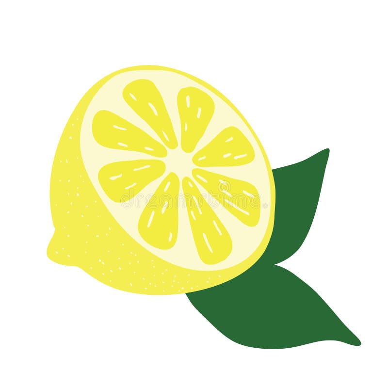 Hand Drawn Half of Lemon with a Leaf, Cartoon Style, Raster Stock ...