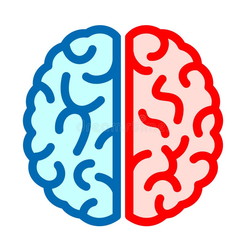Left And Right Brain Concept With Head Silhouette Stock Vector ...