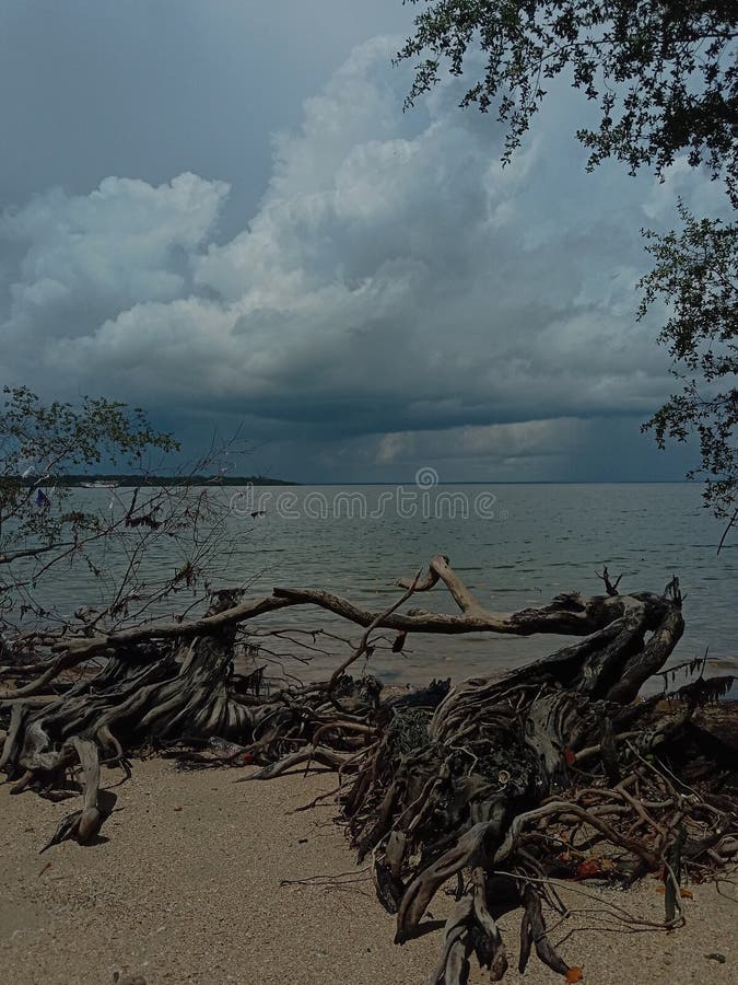Untouched Beach on a Secret Island Stock Image - Image of wind, waves ...