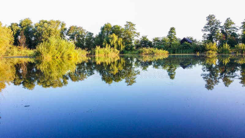 Untouched nature stock photo. Image of bayou, river, untouched - 45445518