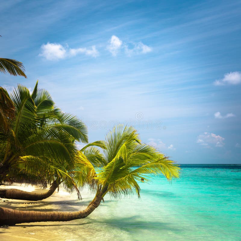 Untouched tropical beach stock image. Image of calm, sunset - 34526237