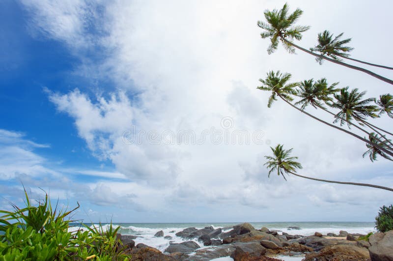 Untouched tropical beach stock photo. Image of ocean - 75010004