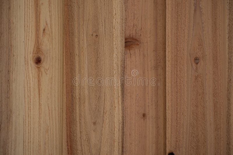 Untreated Cedar Fence stock photo. Image of ready, cedar - 290748332