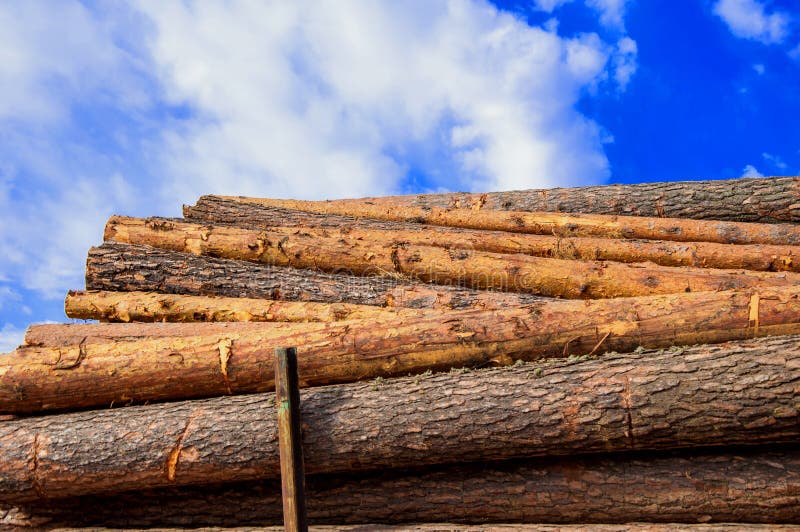 Untreated Timber in the Open Air Stock Image - Image of knotted, pine ...