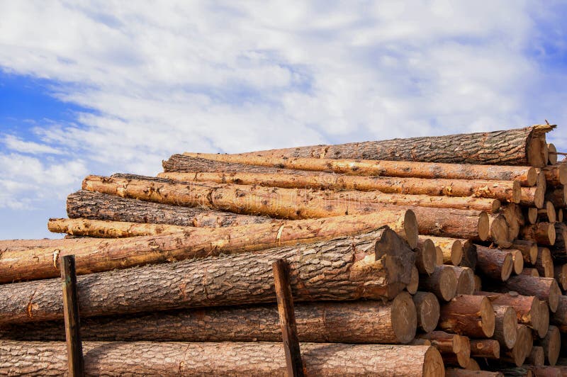 Untreated Timber in the Open Air Stock Photo - Image of rustic ...