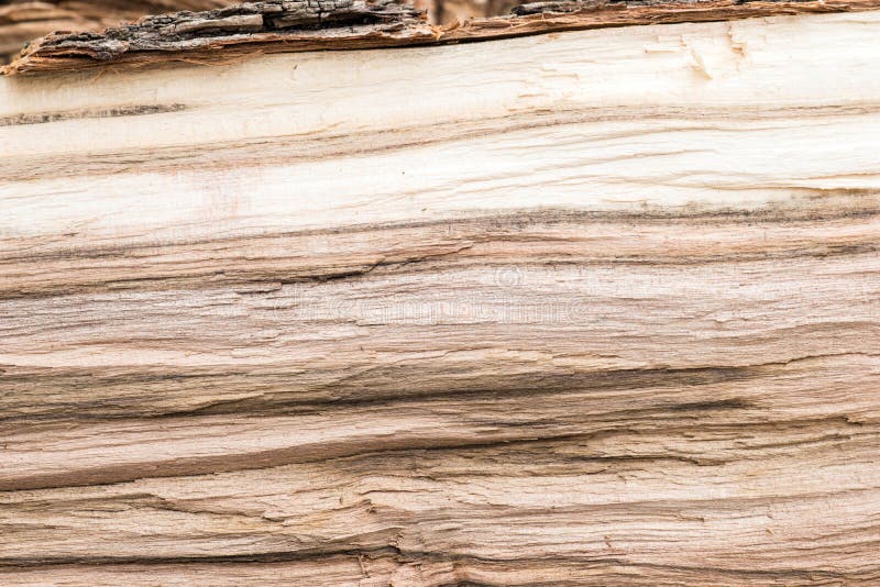 Untreated Wood Structure As Background Stock Image - Image of natural ...