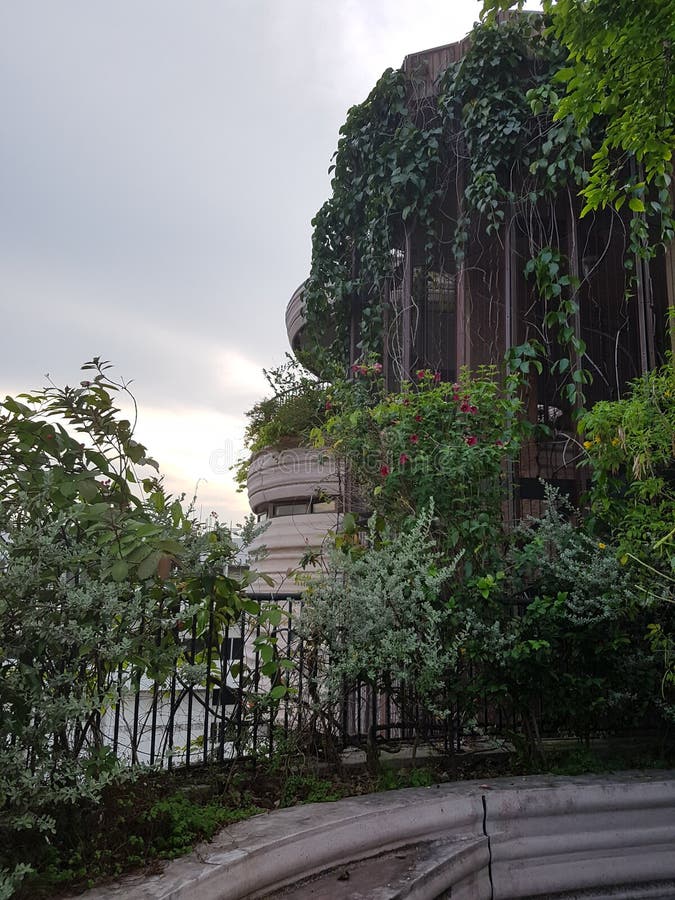 Unused building stock image. Image of vegetation, overgrown - 98587929