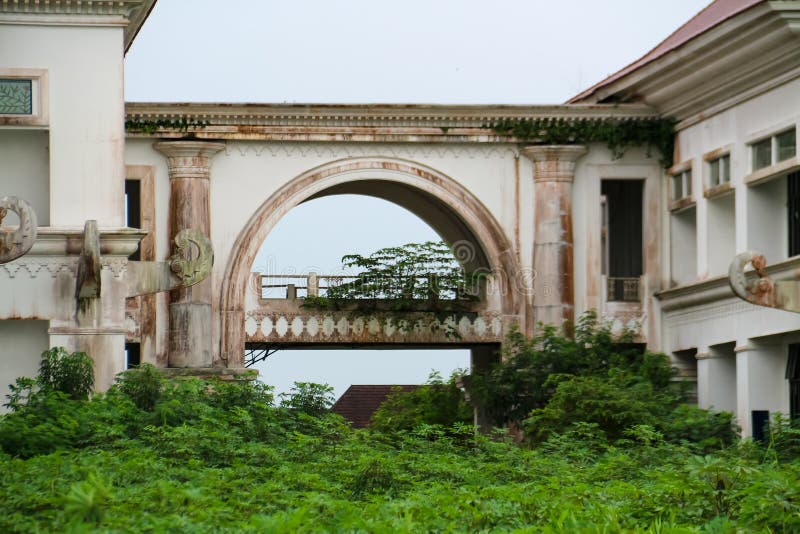 An Unused White Building Whose Yard is Filled with Shrubs Stock Photo ...
