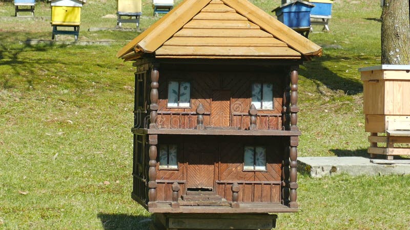 Unusual Bee Hive in the Shape of House Stock Footage - Video of ...