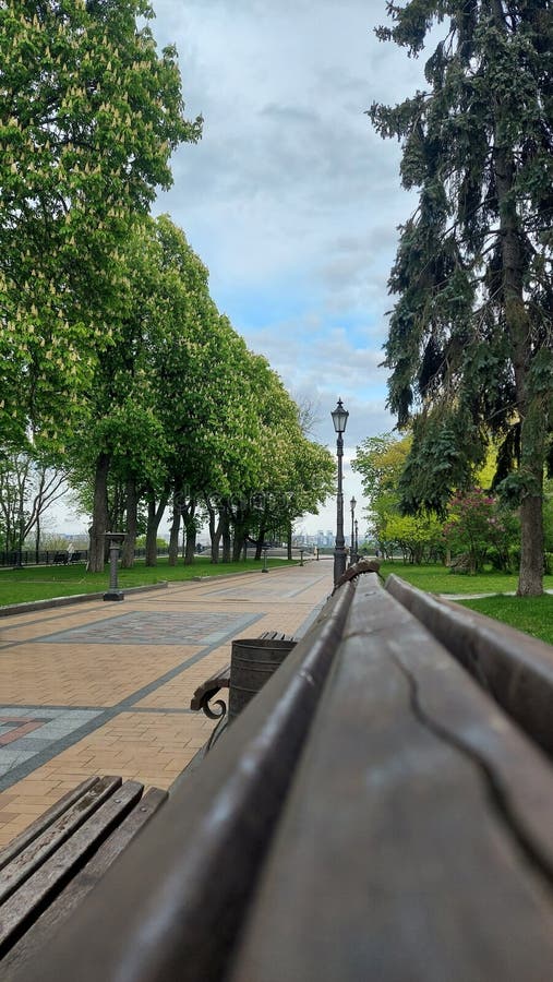 An unusual day in the park stock photo. Image of city - 371189136