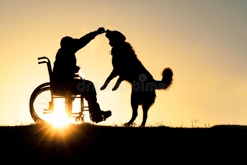 Unusual Disability Lifestyle, Therapy and Happiness Stock Image - Image ...