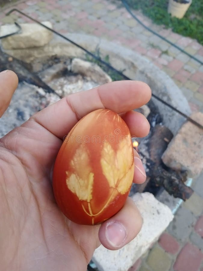 147 Eggn Stock Photos - Free & Royalty-Free Stock Photos from Dreamstime