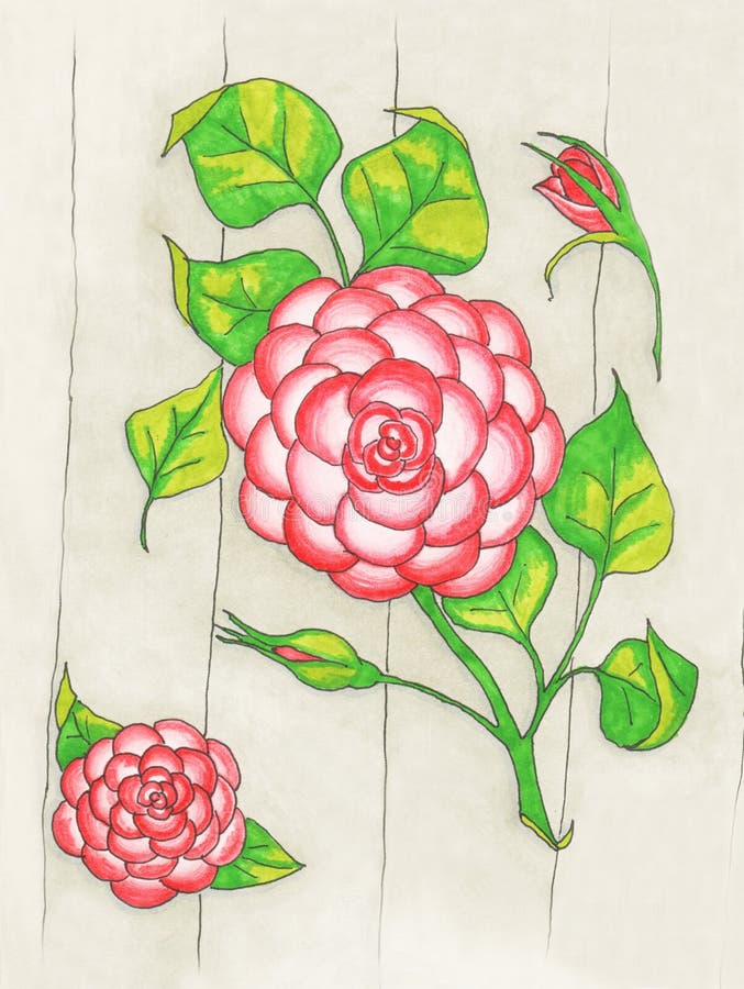 Unusual Flower Painted with Markers Stock Illustration - Illustration ...