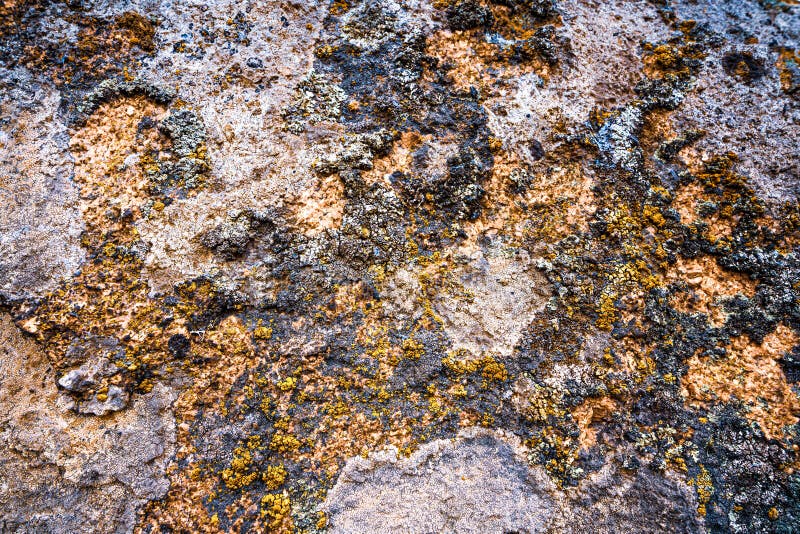 Multi-colored Mold Texture on the Stones Stock Image - Image of ...