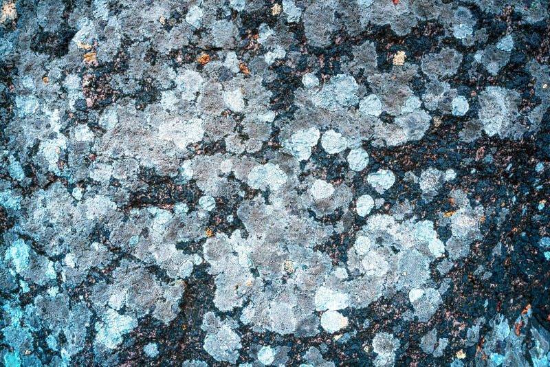 Multi-colored Mold Texture on the Stones Stock Photo - Image of aged ...