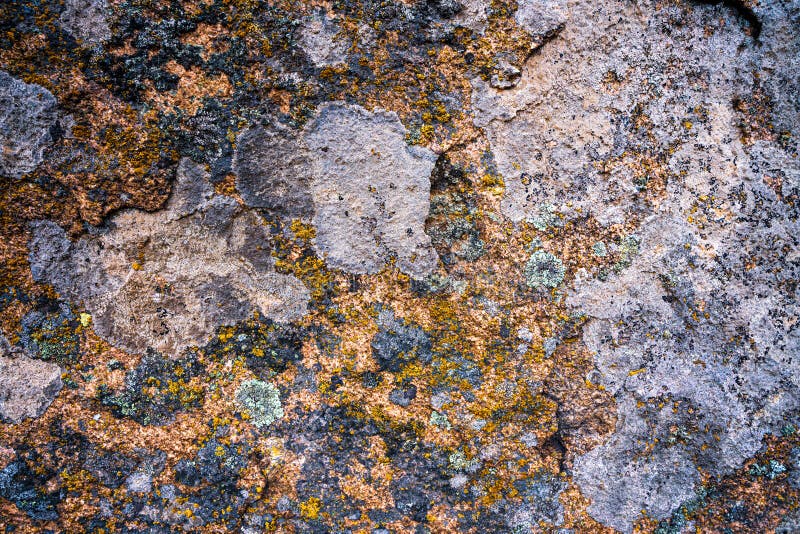Multi-colored Mold Texture on the Stones Stock Image - Image of ...