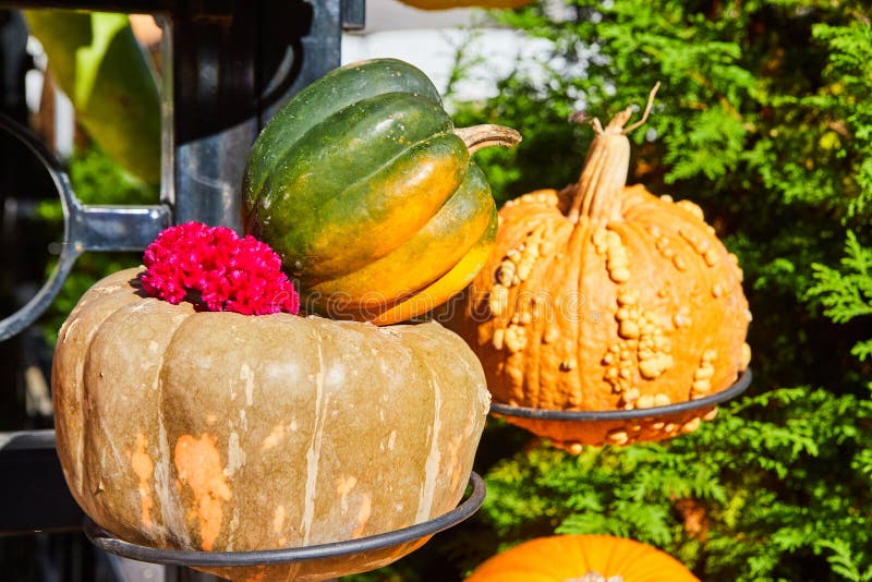 Unusual Pumpkins Set in Metal Looks of Structure Stock Image - Image of ...