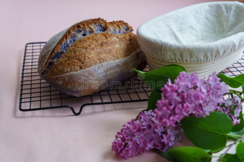 Unusual Purple Sourdough Bread and Proofing Basket for Home Made ...