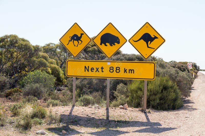 Unusual Road Sign in Outback Australia Stock Image - Image of plainin ...