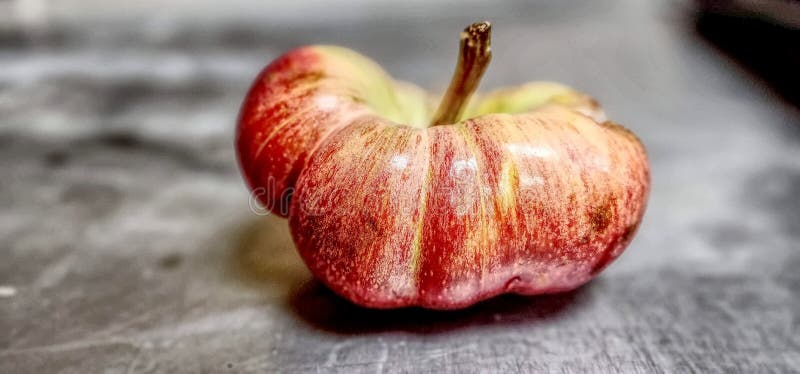 Unusual Shape Apple on Display Stock Photo - Image of blemishes ...